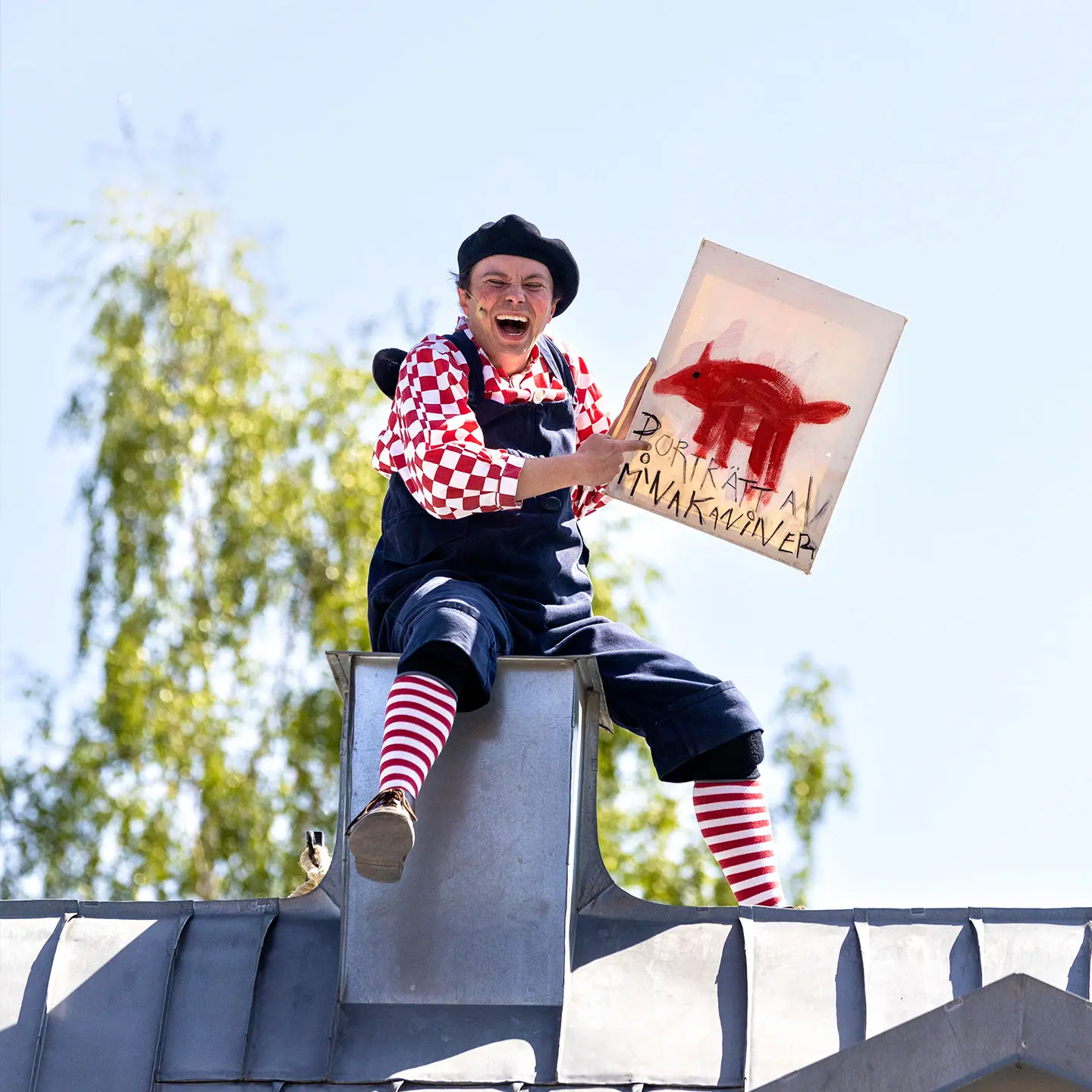 Karlsson Vom Dach Karlsson Vom Dach | TheaterGrueneSosse Junges